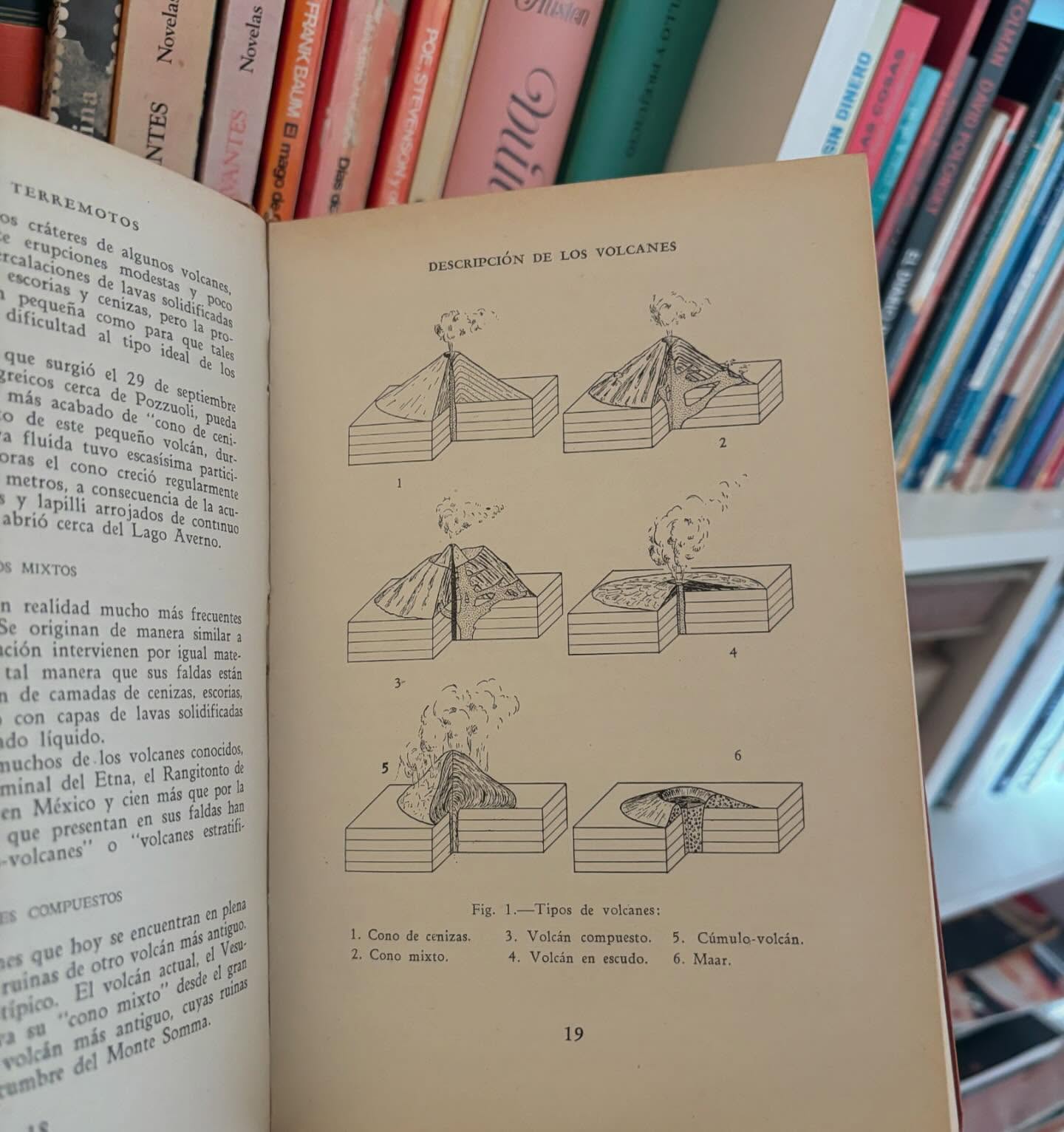Volcanes y terremotos – Libros Frannie
