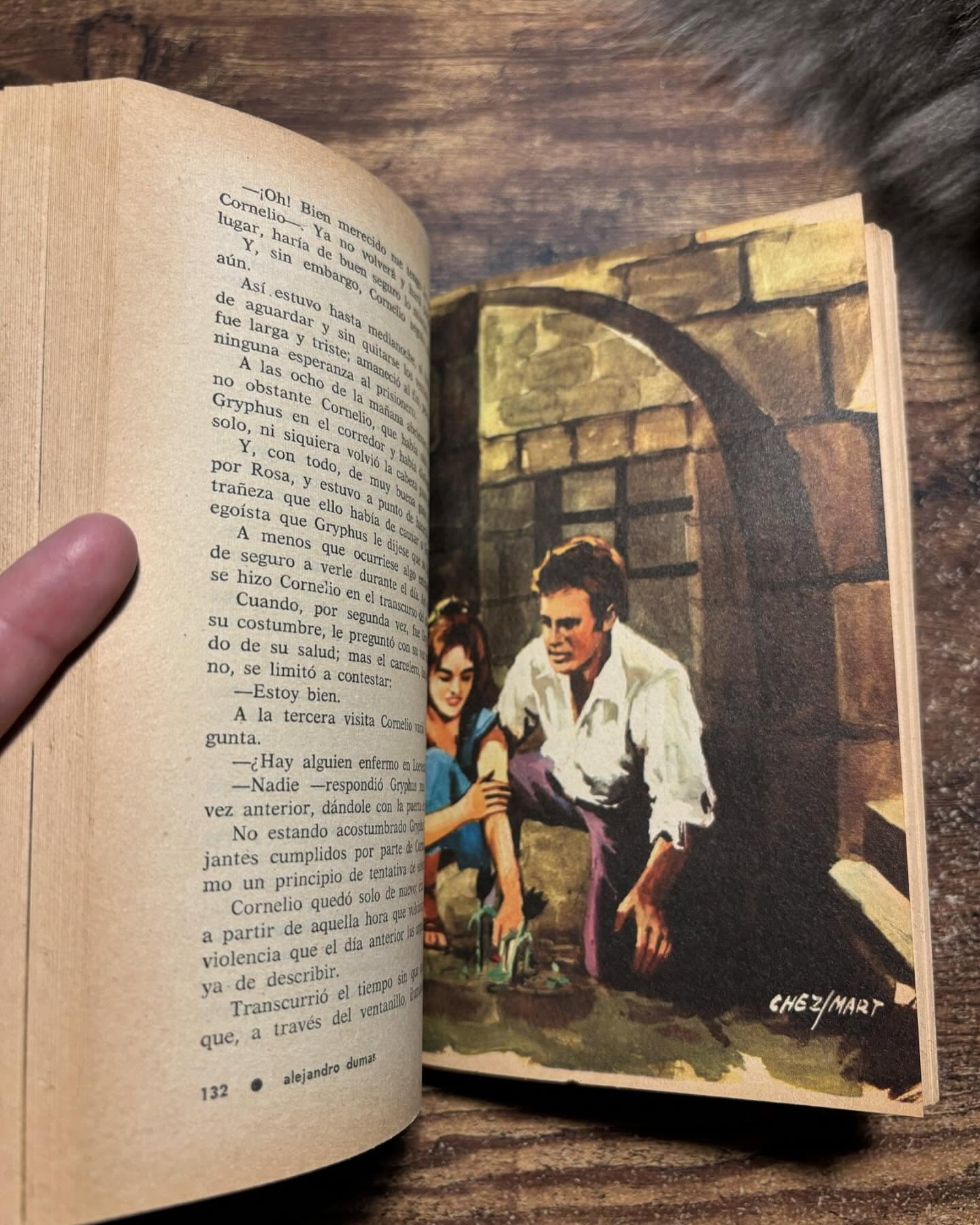 El tulipán negro – Libros Frannie