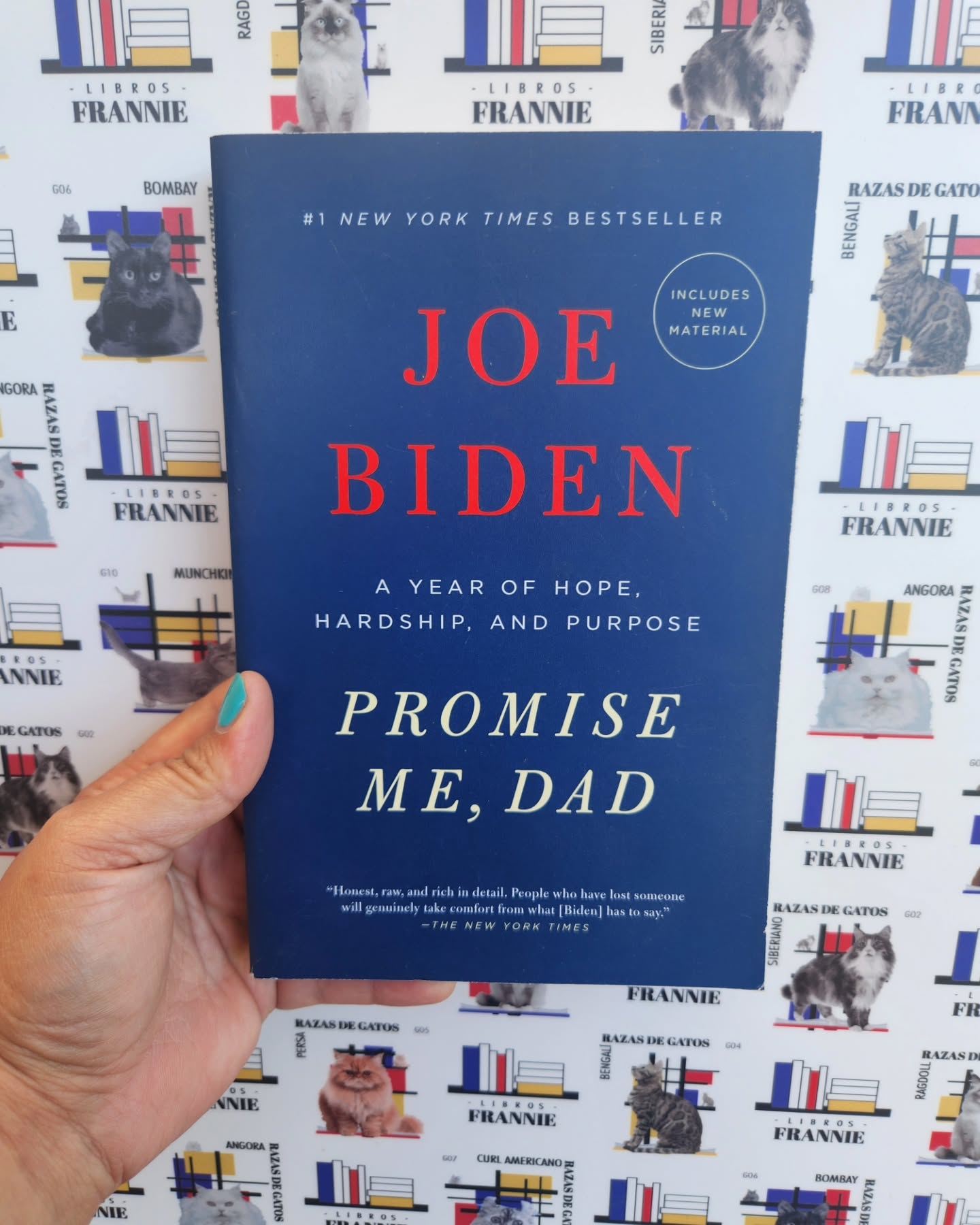 Promise Me, Dad: A Year of Hope, Hardship, and Purpose – Libros Frannie